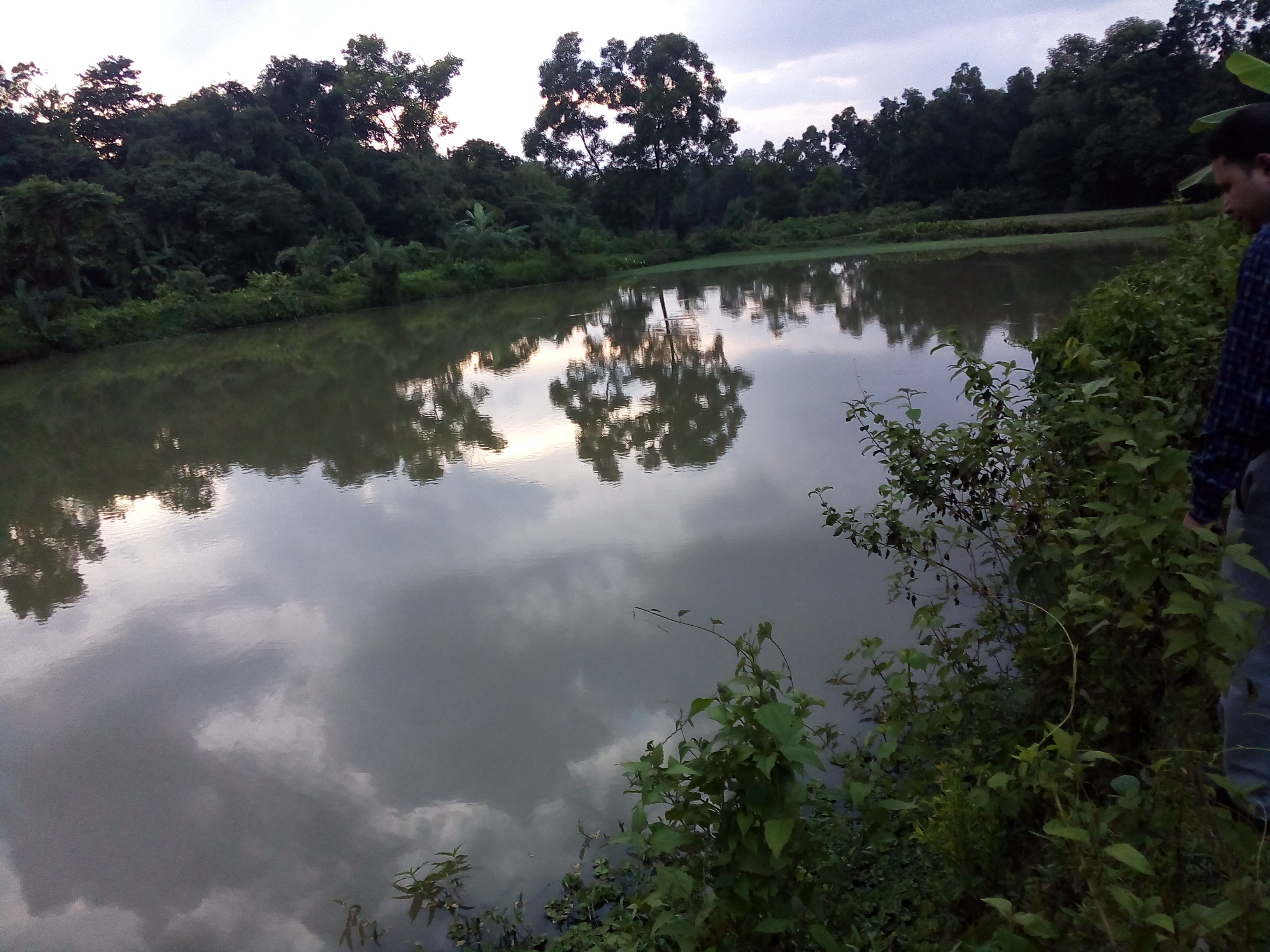 Outdoor Fish Farming – Rabala Agro Industries Ltd