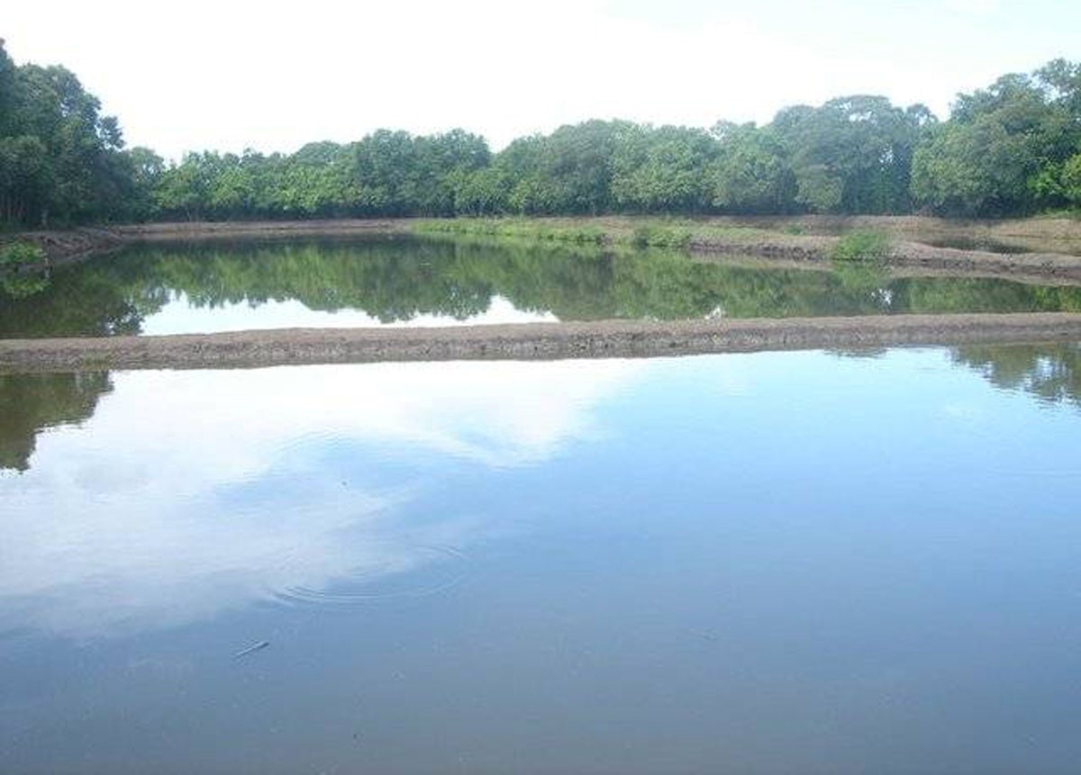 Outdoor Fish Farming – Rabala Agro Industries Ltd